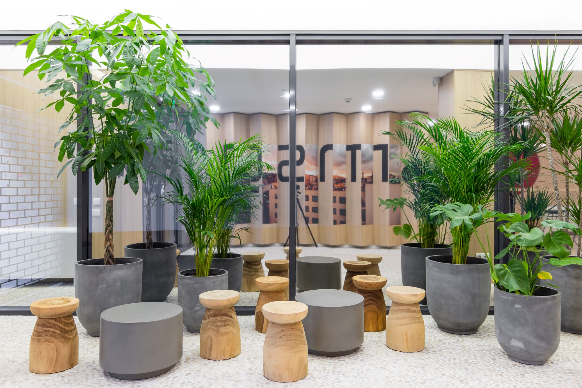 MSG SYSTEMS – AtelierMass